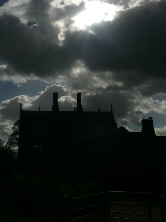 A Walk along the Bure Valley Path ~ Griffmonsters Great Walks