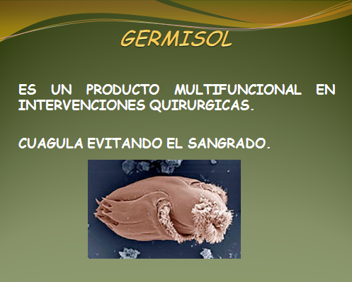 INNOVACION BIOQUIMICA GERMISOL DENTAL