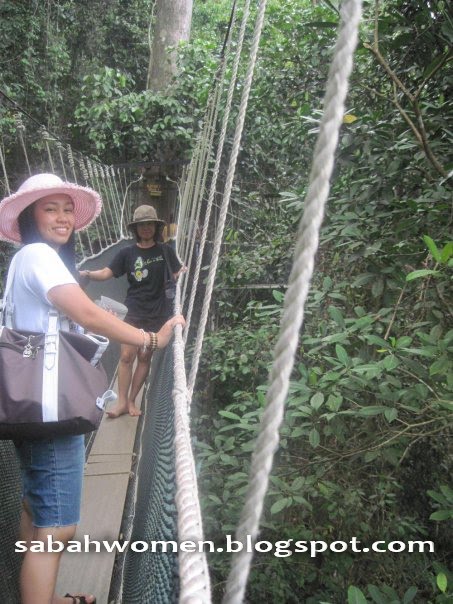 Canopy Walkway at Poring Hot Spring, Ranau | Sumandak Kinabalu Little ...