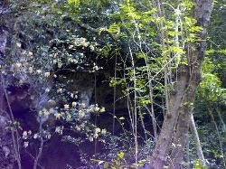 Saipan Pictures: Kalabera Cave