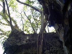 Saipan Pictures: Kalabera Cave