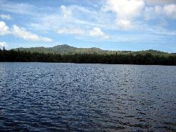 Saipan Pictures: Lake Susupe