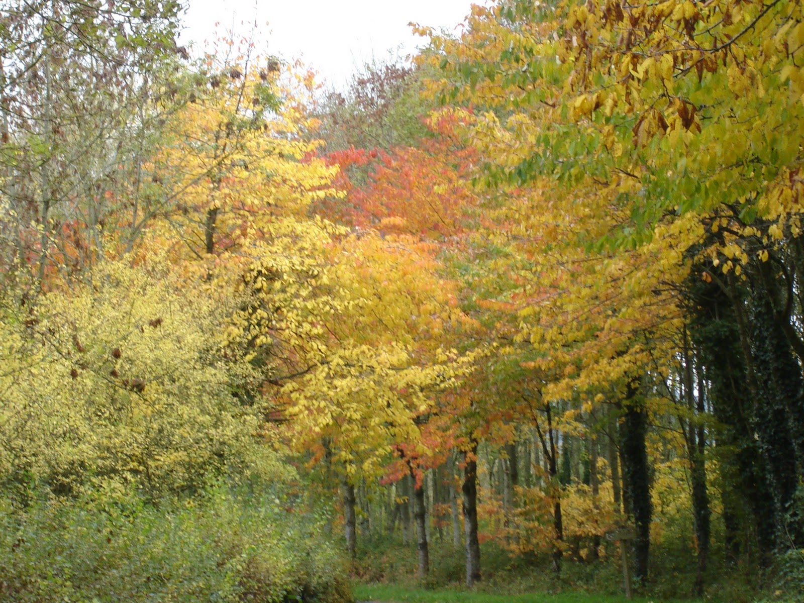 London Stories: Ubley