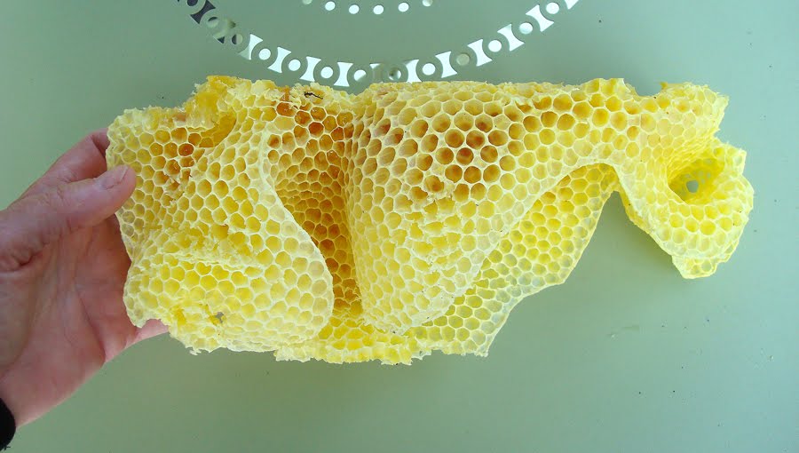 Strumelia's Blog: Crazy Comb