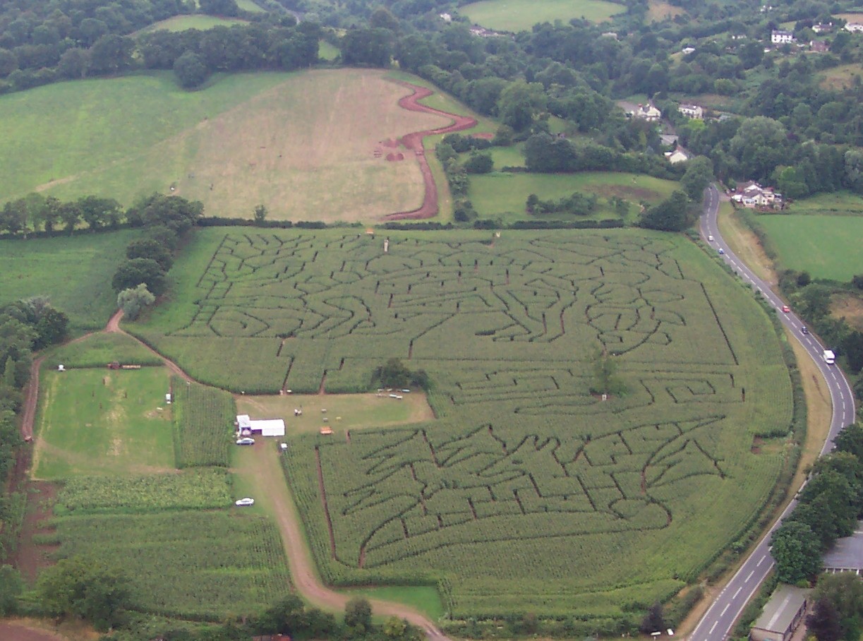 Elton Maize Maze, Forest of Dean, Glos: Maize Maze 2005