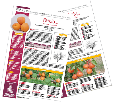 Blog officiel de l'Arboriculture fruitière: Fiches variétales