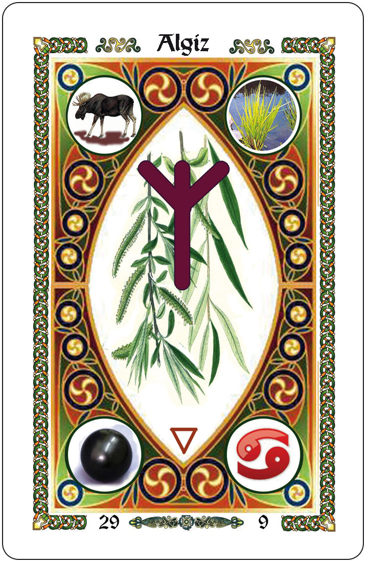 Ezoteryka i ja: Algiz