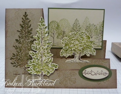 Creating Cards with Andrea: Part 2 Side Step Card Tutorial