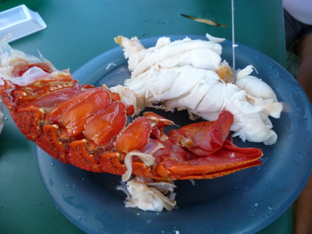 Here in the Sunshine