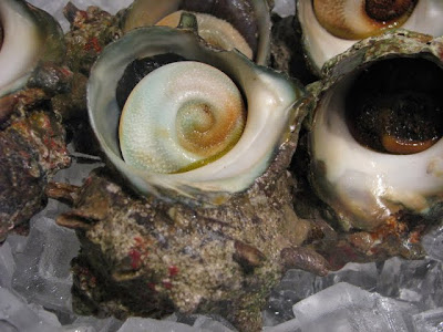 chef choo: SAZAE (Turban Snail)
