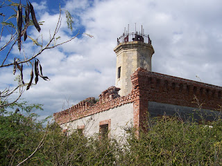 PUERTO RICO GALLERY: La Carretera Número 333, Guánica