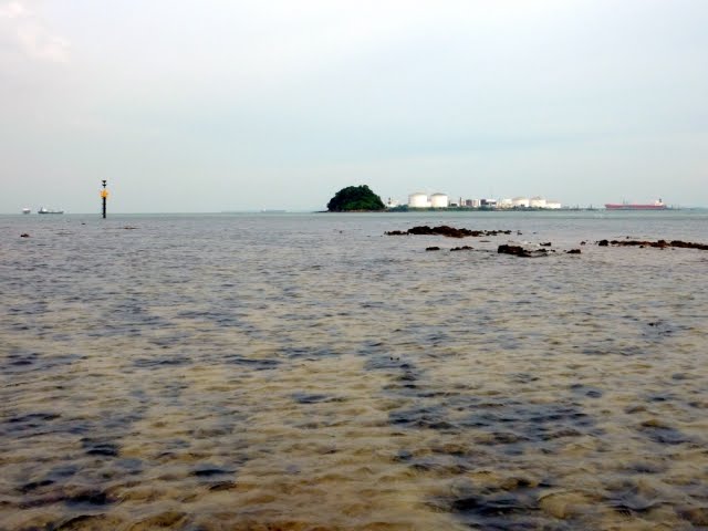 God's wonderful creation: First visit to Terumbu Bukom