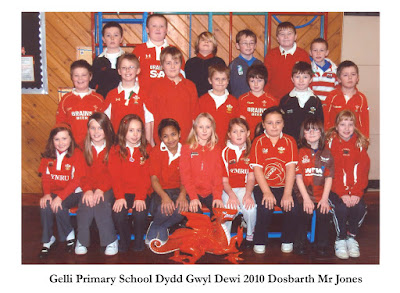 Gelli Primary School Latest News: St David's Photographs No 2 Class 7