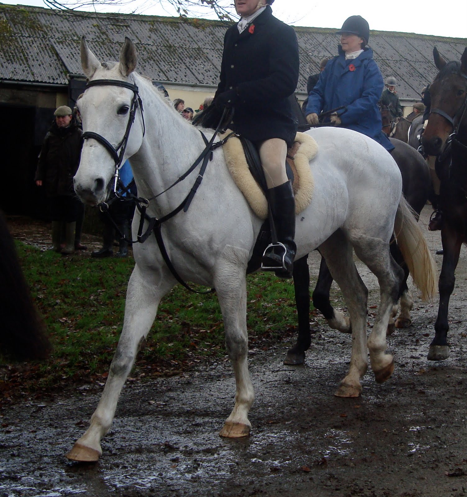 Rockley Farm: Bailey