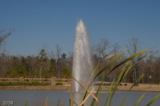 The Woodlands Texas Parks: Rob Fleming Park - one of the best
