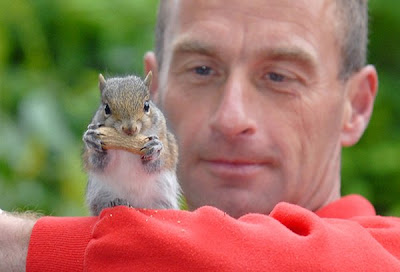 Pics to Pics: Squirrel and man