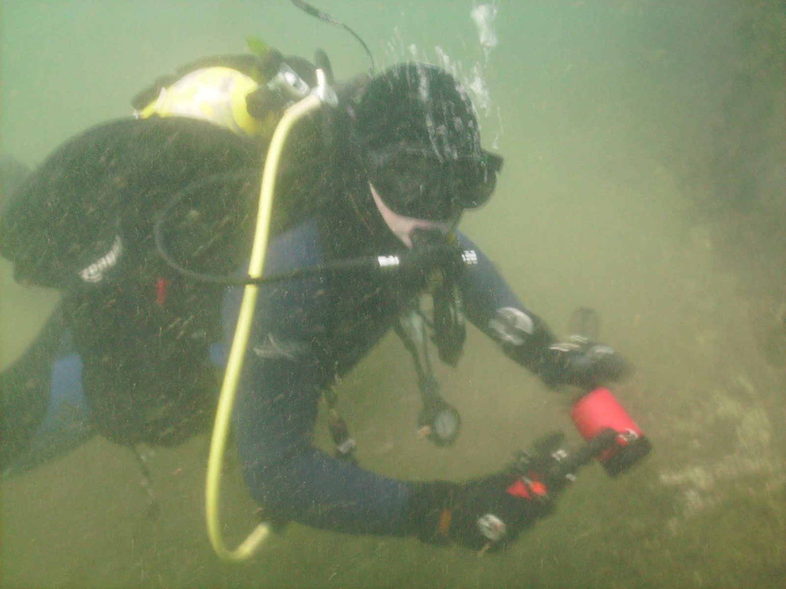 CFB Kingston Dolphin Scuba Club: June 2010