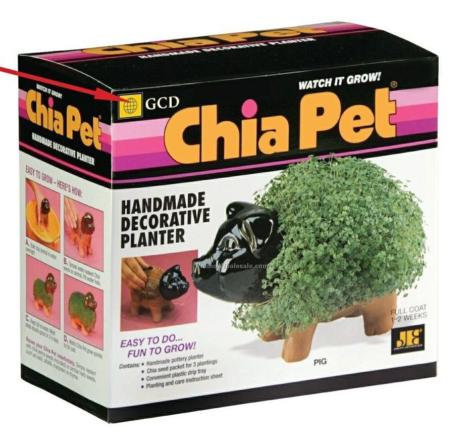 Richard Says!: Chia Pet, Chia Pet, Where For Art Thou Chia Pet