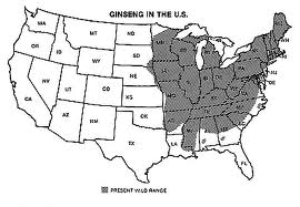 Wild Harvesting Profits: Ginseng Information for the Wild Harvester