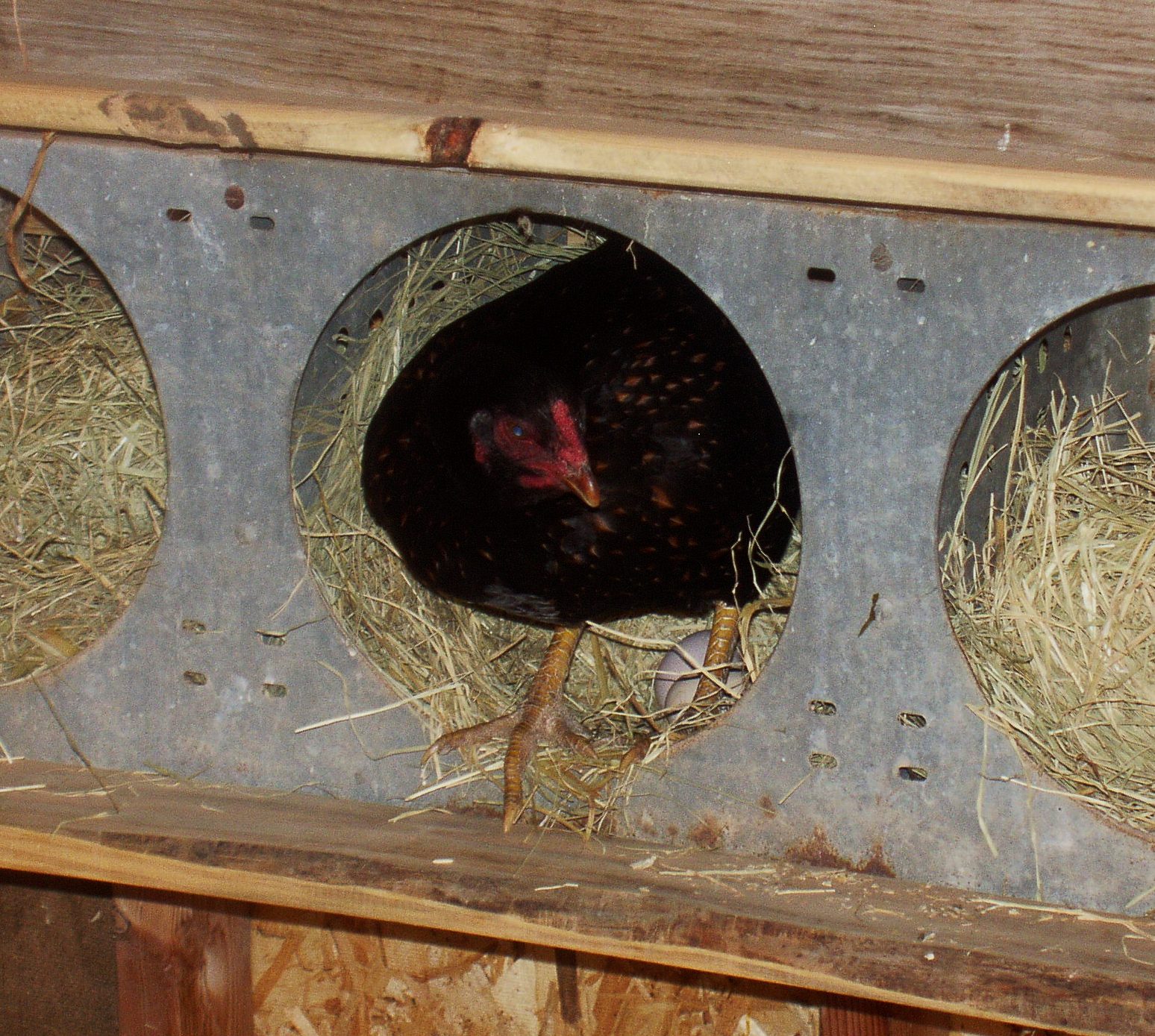 The Ranch: Traditions