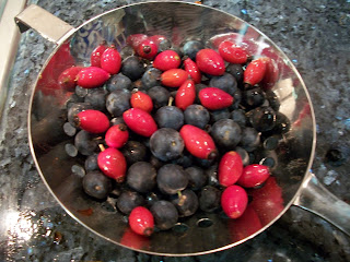 Dolors Marta Inge: Collint aranyons i baies de rosa gavarrera