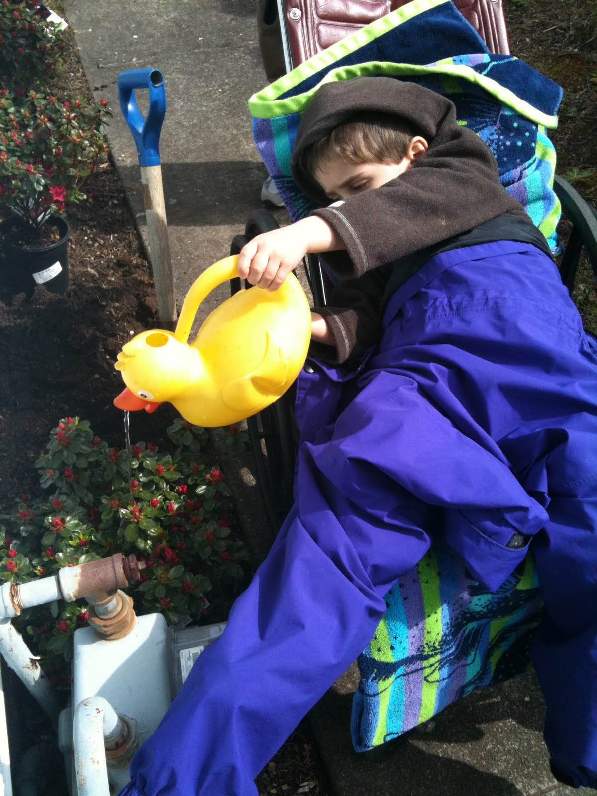 A Child's Journey with Perthes Disease: The Cast is OFF!