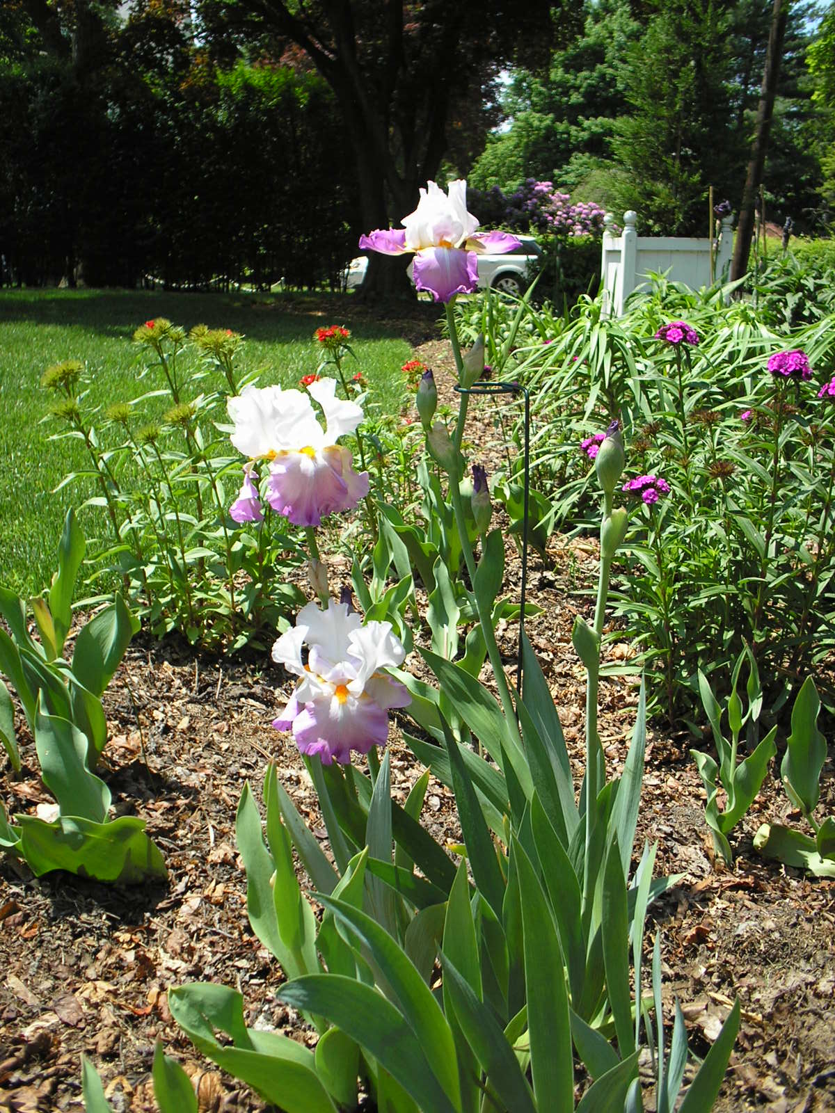 The Style & Design of : DEAN YODER