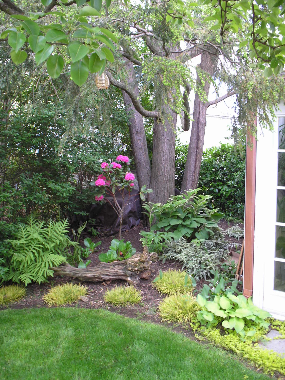 The Style & Design of : DEAN YODER