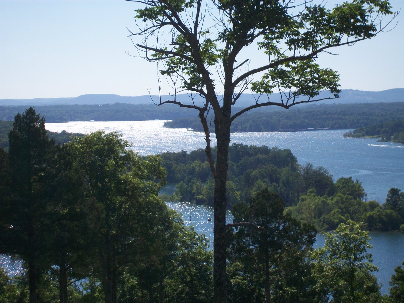 CruisinCondo: Treasure Lake Resort