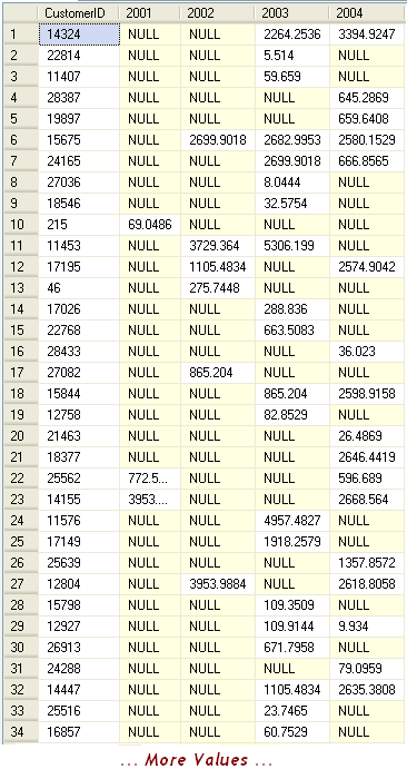 Microsoft Technology T Sql Pivot Operator With Dynamic Columns