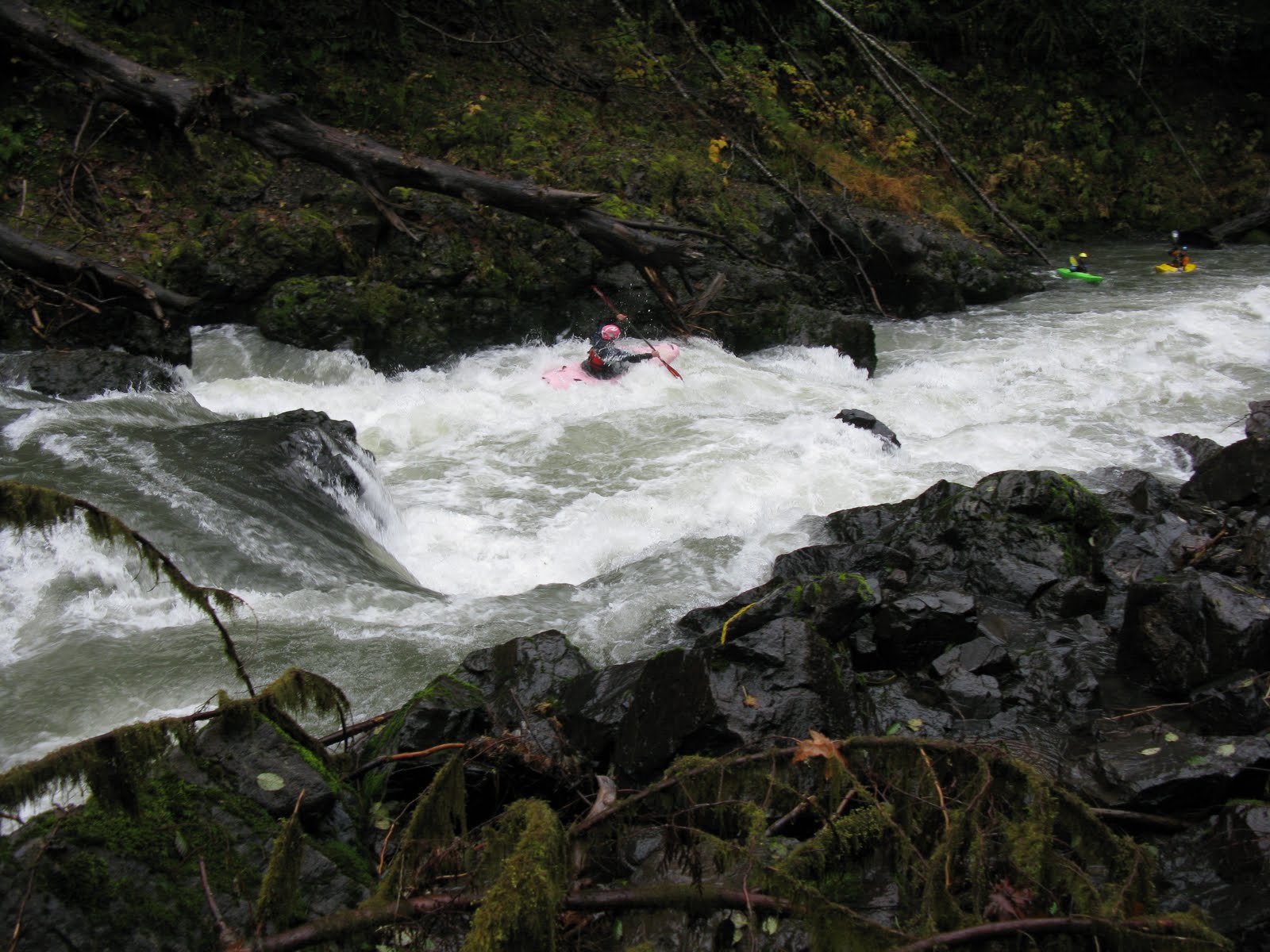 Todd Wells' Whitewater Blog: The Grays River