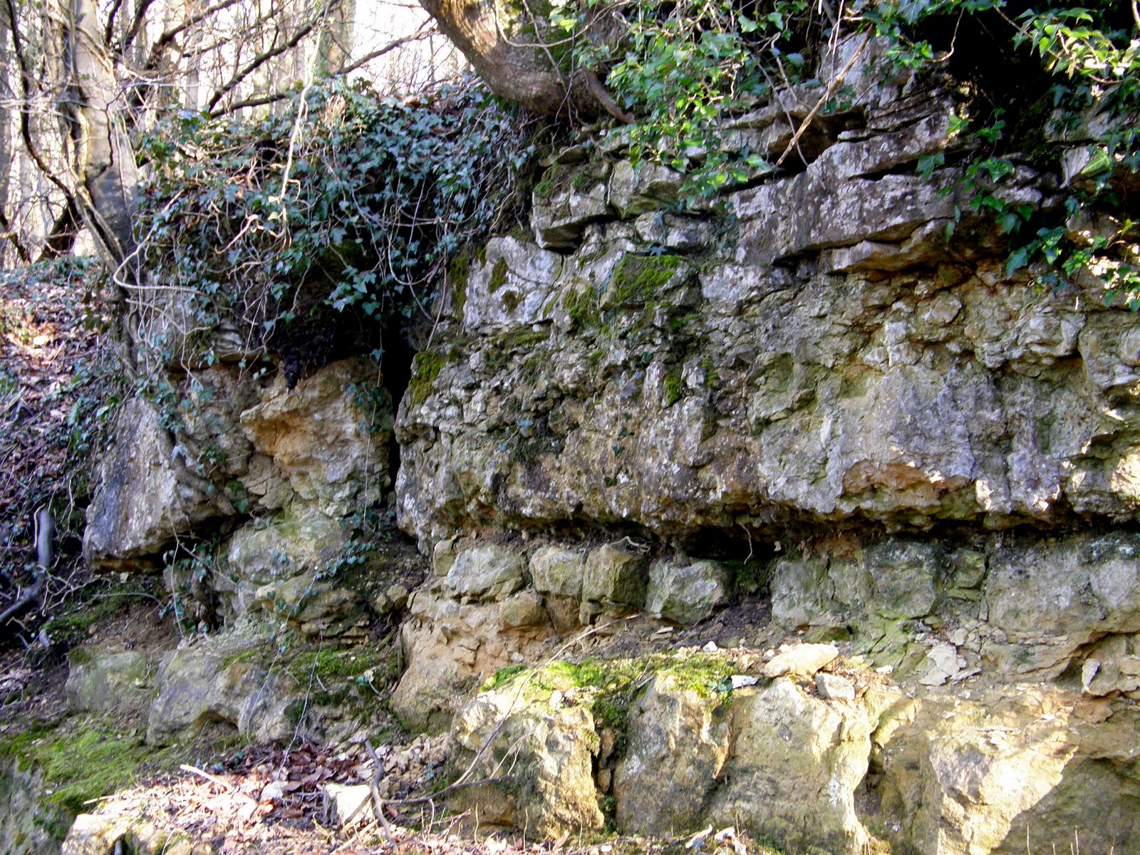 A Cotswold Year: Limestone Hills