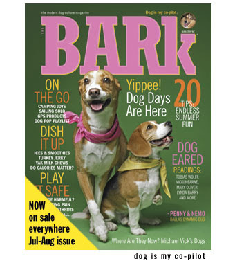 GrASS's Products & Services: Product: Bark Magazine