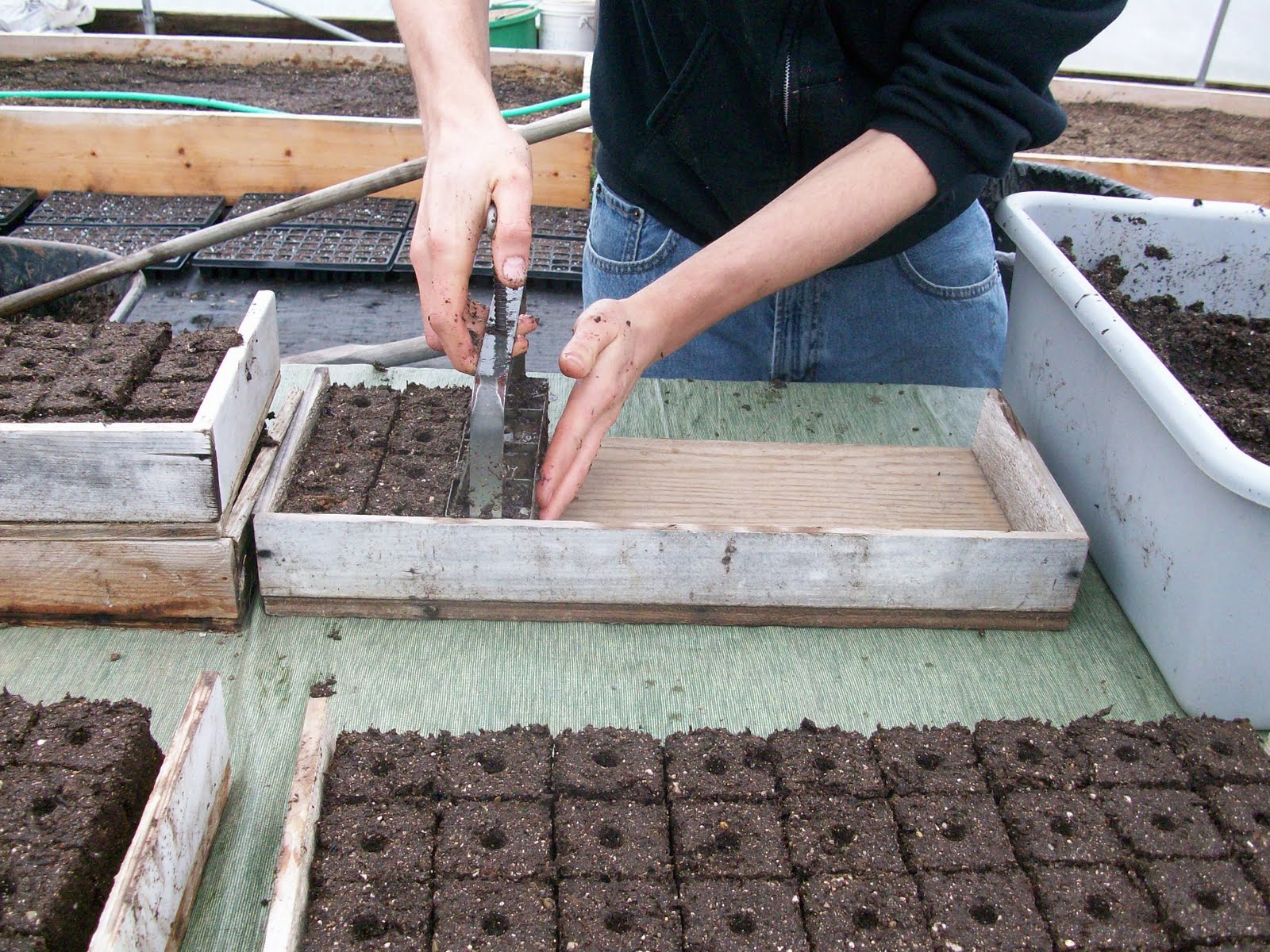 White House Gardens CSA