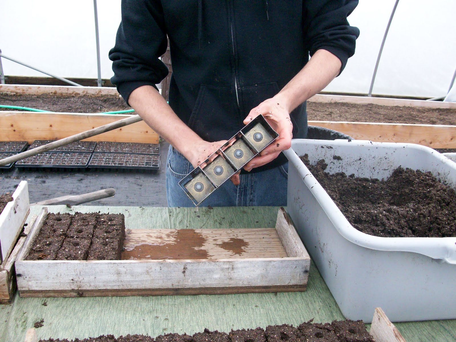 White House Gardens CSA