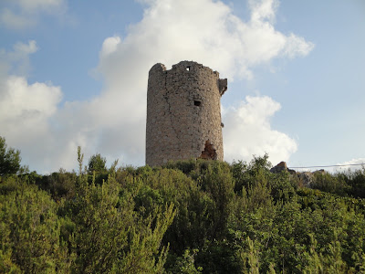 Sendallarga: IRTA: ALCOCEBRE - ERMITA STA. LLÚCIA - TORRE EBRÍ (20090725)