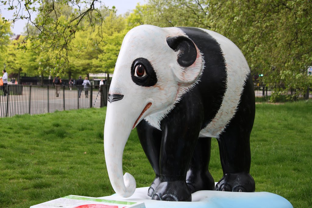 A n z u: Guest blogger: Bonny