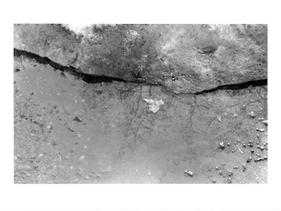 Photo-Arts I: David Smith