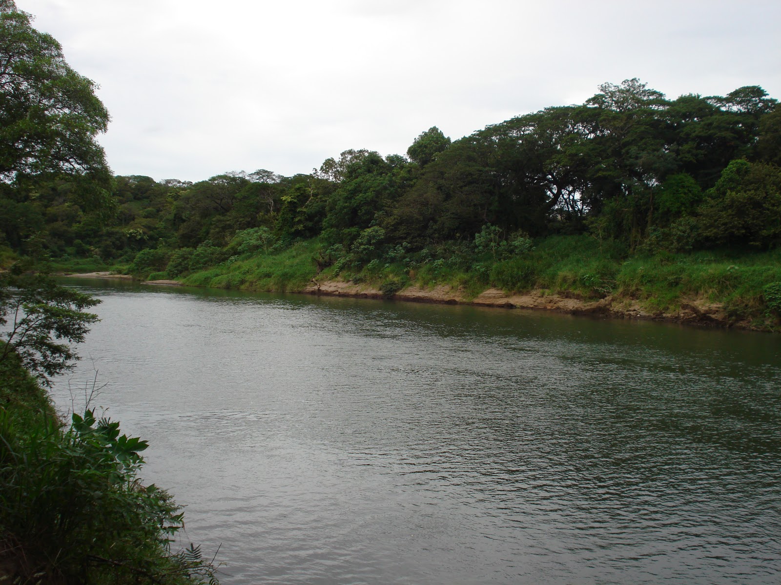Naturalezasiempre: Senderos en el rîo Tempisque Palmira Guanacaste.