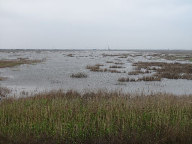 ANGLING WORLD 魔魚釣界: Fishing in China for Yellowcheck Carp ( Elopichthys ...