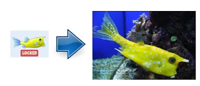 What FishVille Fishes Look In Real Life (My FishVille)