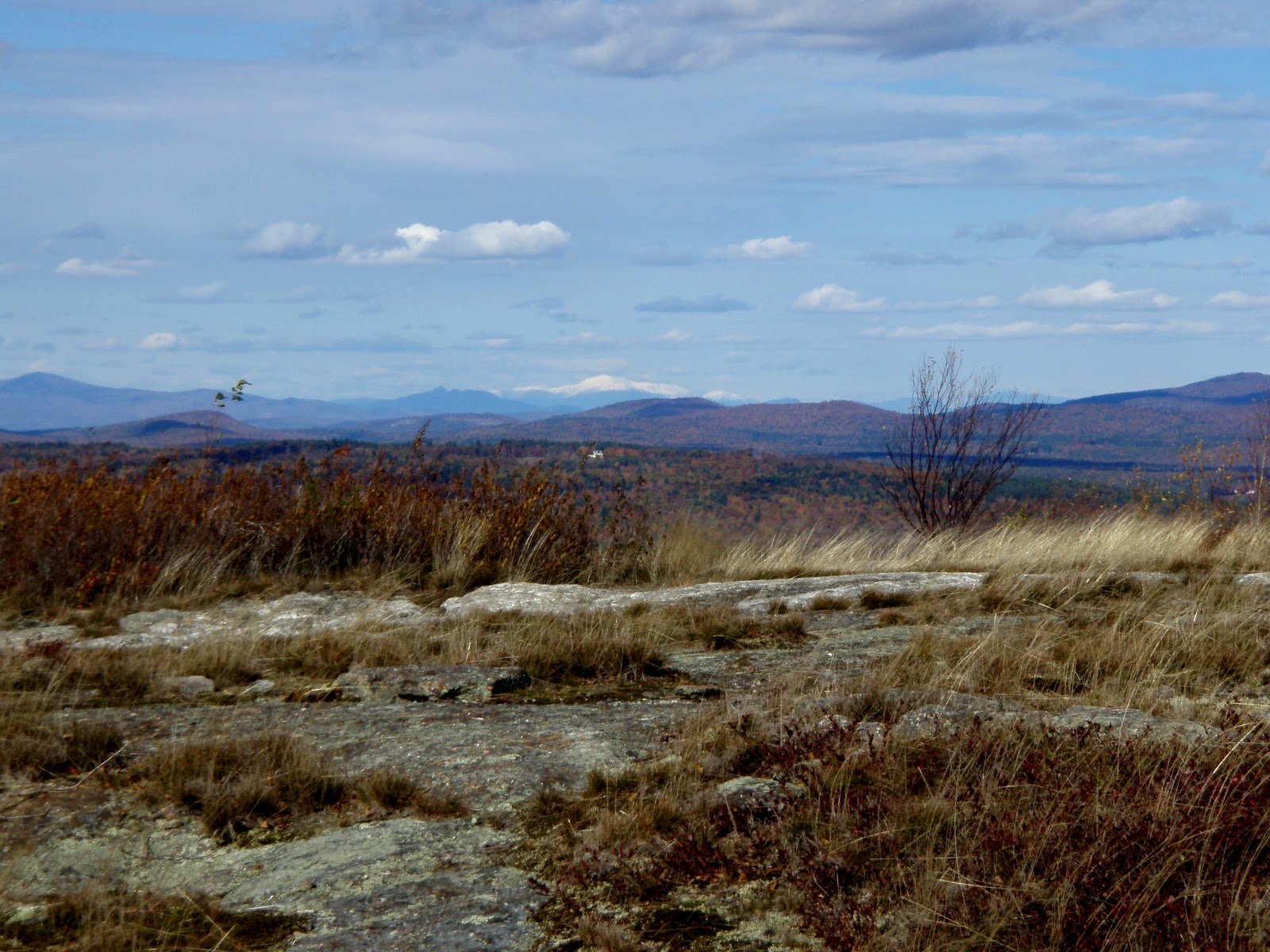 hikethesummits: Mt. Blue Job 10/19/10