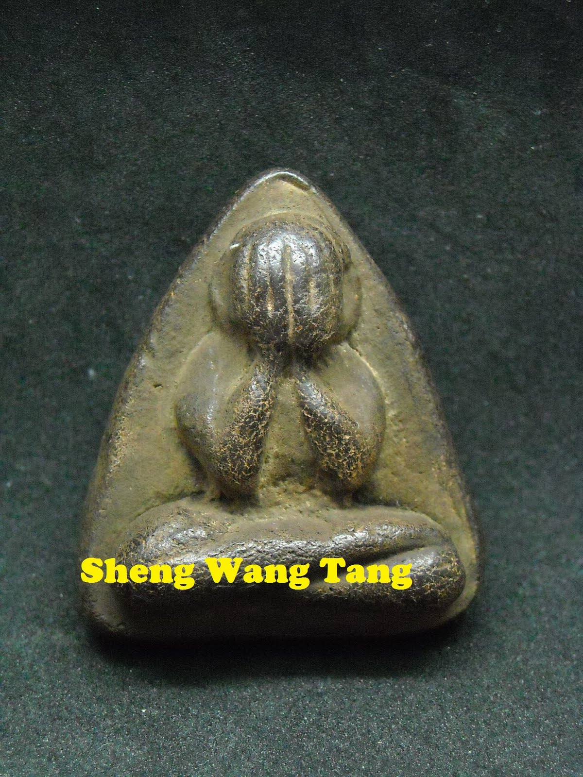 Thai Yuan Amulet 泰缘佛行: Tok Raja 马来西亚高僧