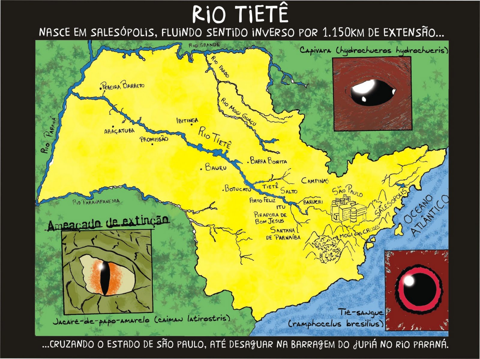 Portifólio: Rio Tietê