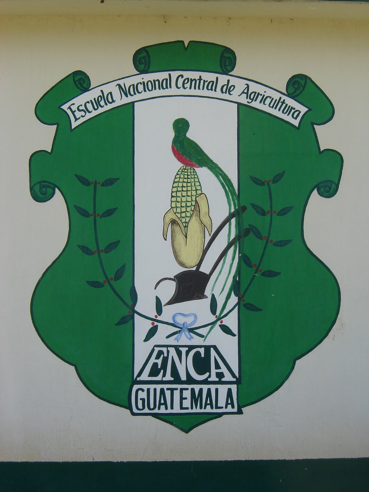 NUESTRA ENCA: ESCUDO DE LA ENCA