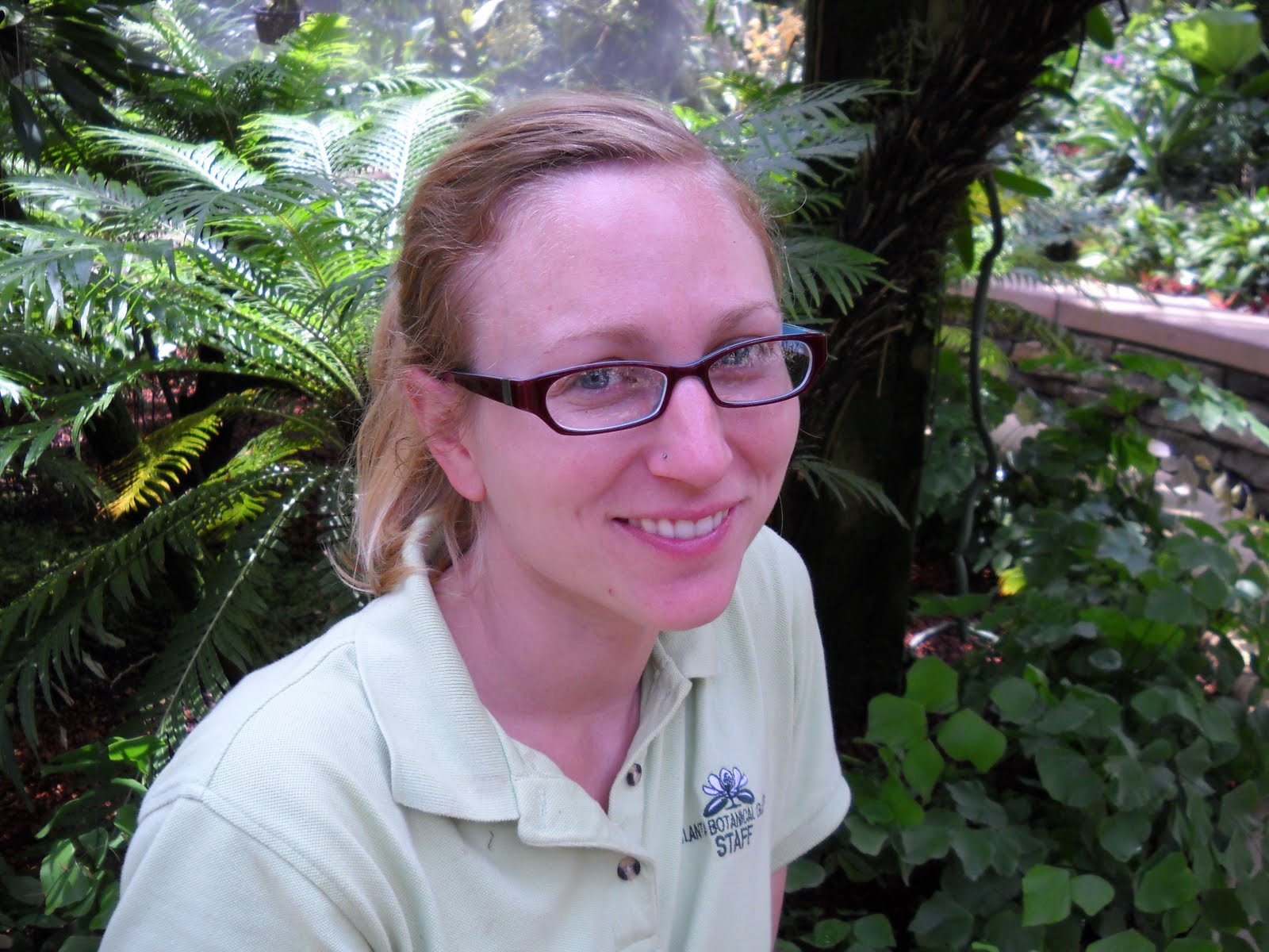 Plant to Plate: Cardoons!