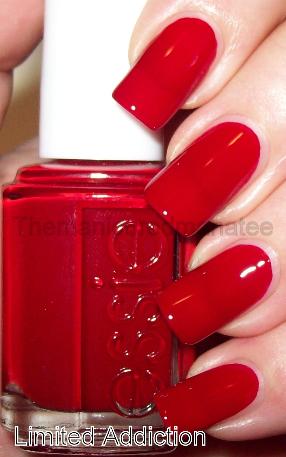 The Manicured Manatee: Essie Fall 2010