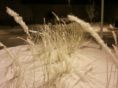 KDLT Weather Blog: Freezing Fog and Rime
