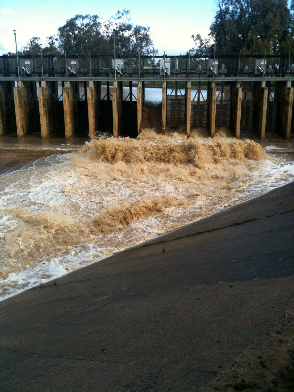Let the Loddon Flow