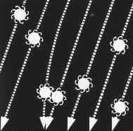 Clinamen: ¿Qué es "Clinamen"?